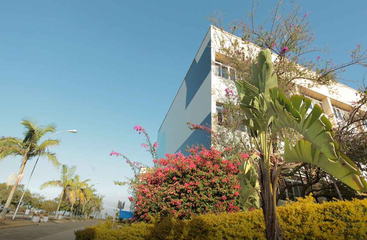 Unisul anuncia parceria com organização educacional | Santa Catarina | G1