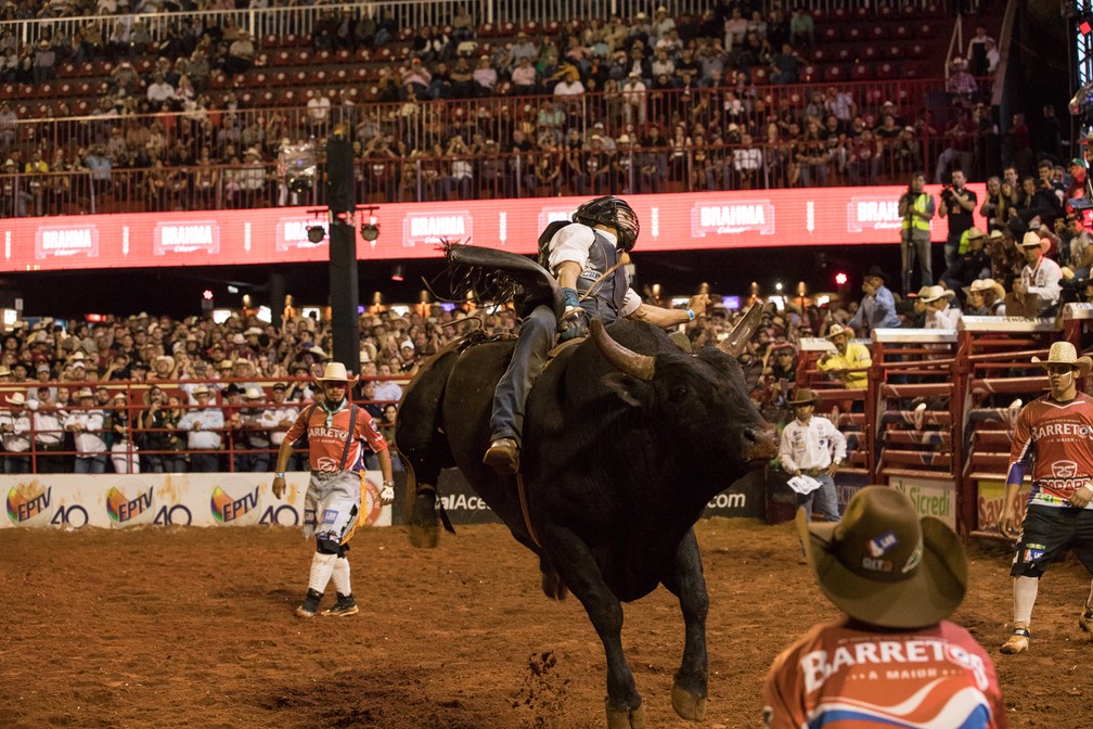 Barretos 2019: finais do Rodeio Internacional; FOTOS | Festa do Peão de ...