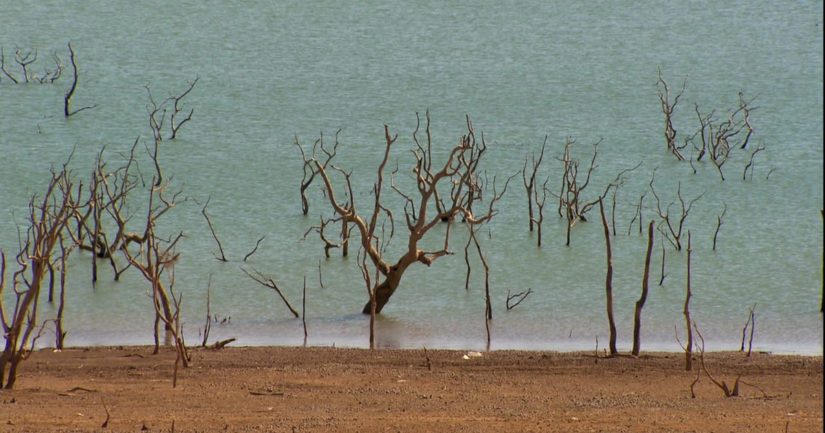 Agronegócios - Agricultores do Cerrado desistem de plantar por causa da ...
