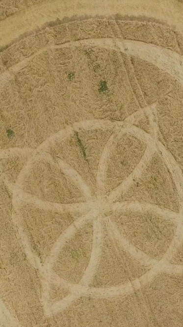 Agroglifos: o que são e como surgem os círculos nas plantações ...