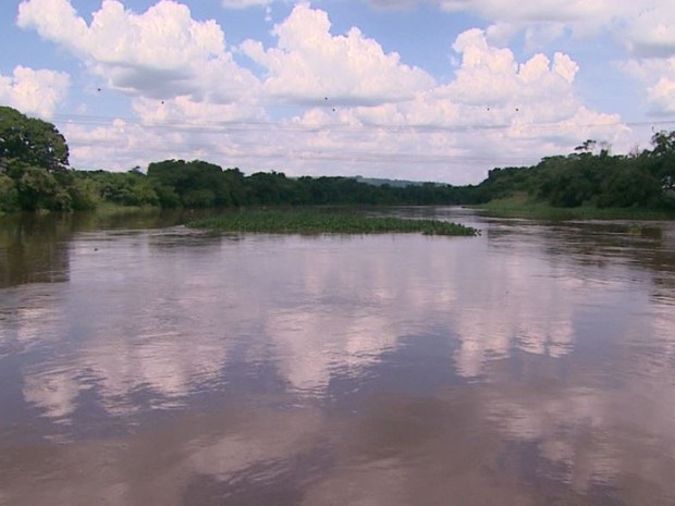 G1 - Chuva faz nível do Rio Pardo dobrar em um mês em Ribeirão Preto ...