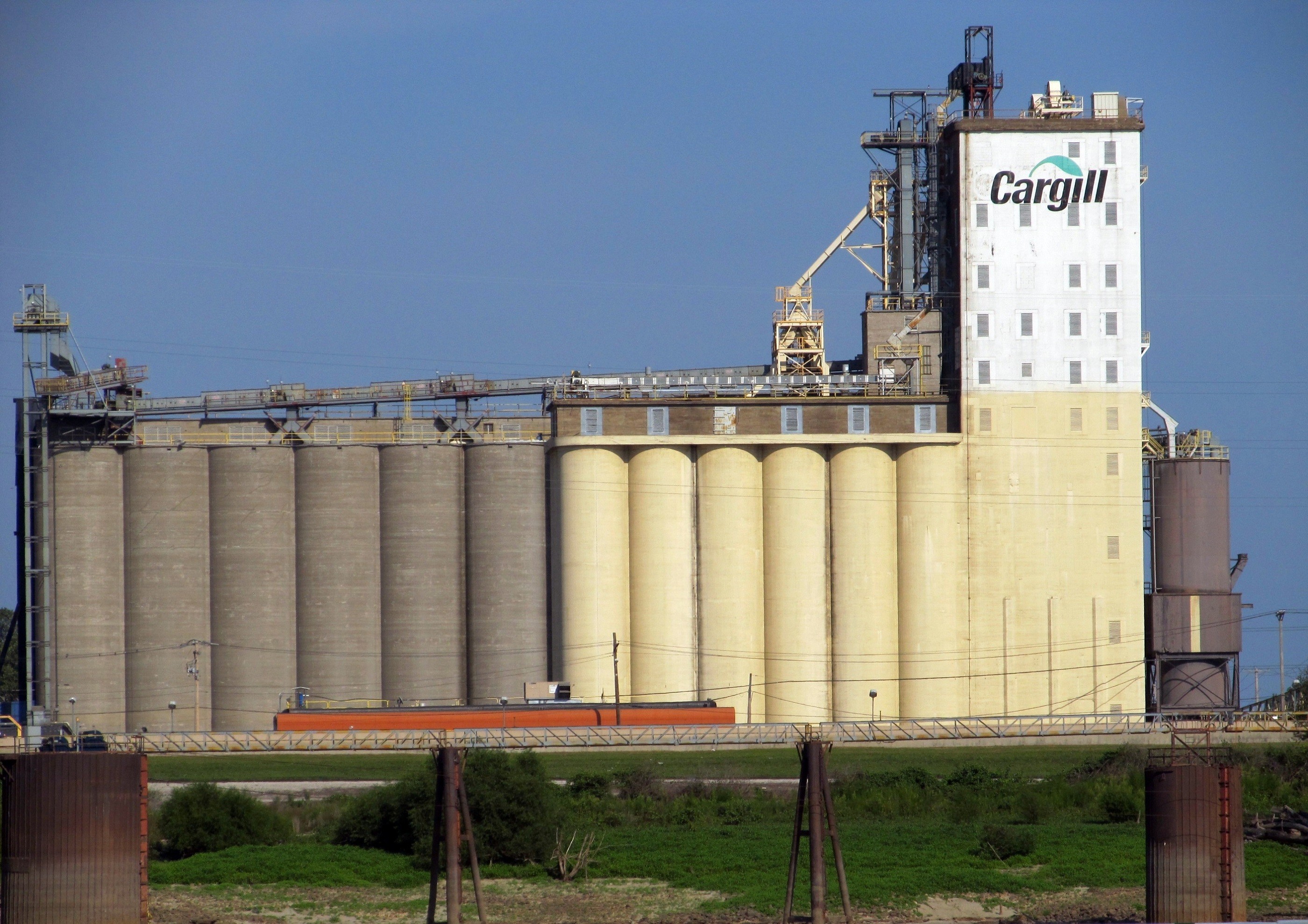 Cargill, gigante do agro, põe mais três nomes na lista dos maiores ...