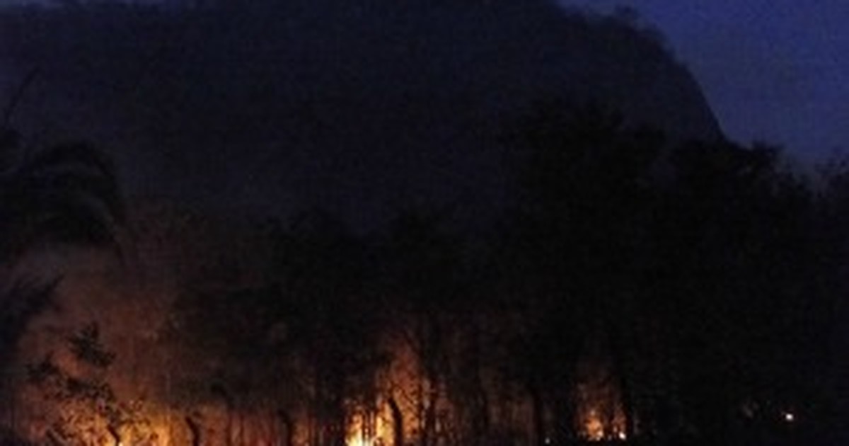 G1 - Em MS, incêndio de três dias destrói 200 hectares em sete ...