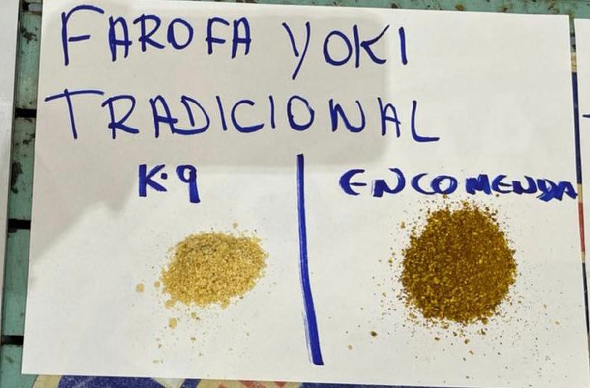Receita Federal apreende 27 kg de cocaína escondidos dentro de ...