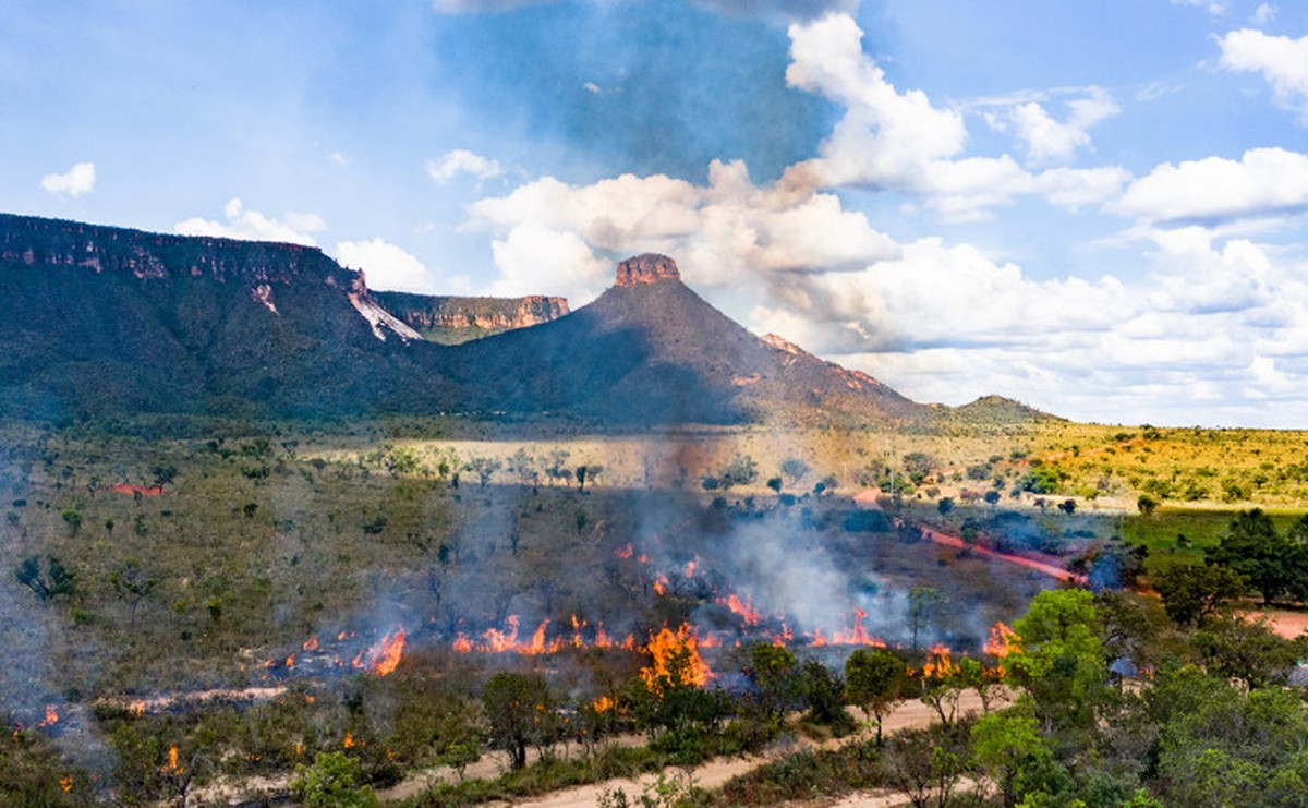 Jalapão tem queimadas controladas para evitar incêndios florestais no ...
