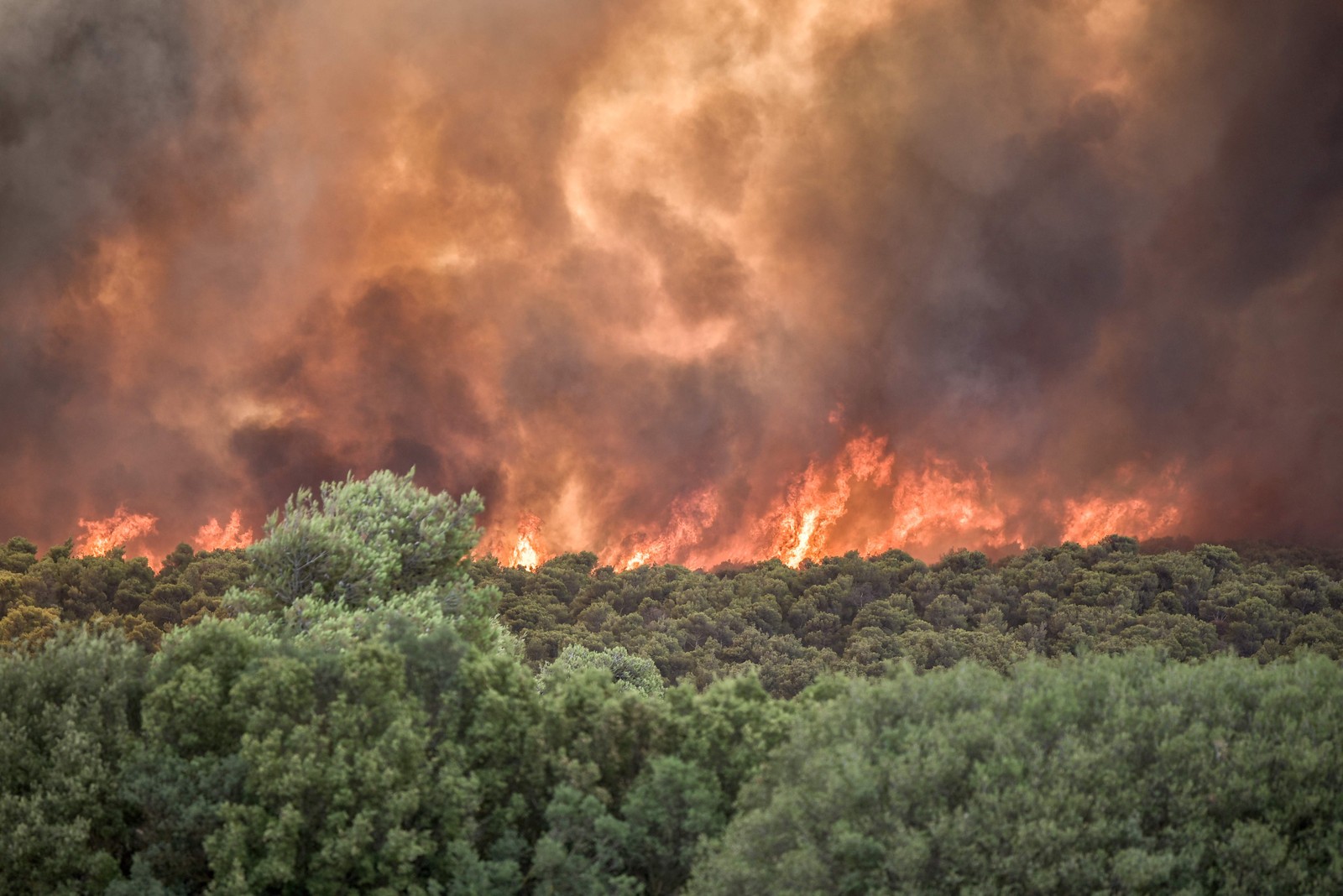 Incêndio florestal entre Espanha e França que forçou retirada de ...