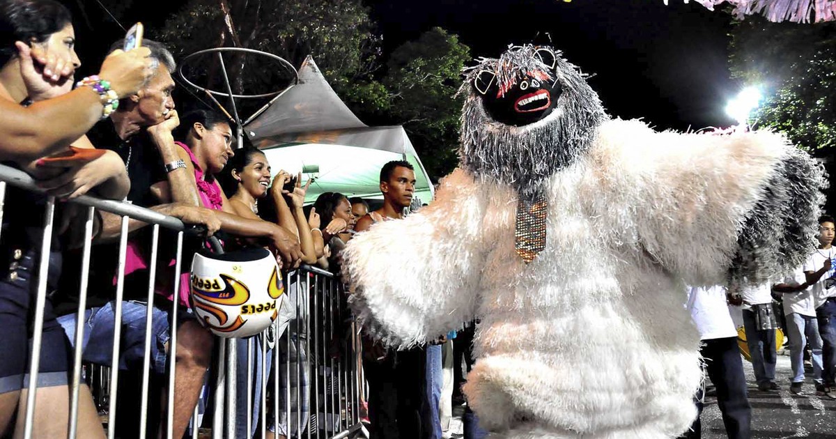 G1 - Urso Macaco Louco vence desfile das ala ursas em João Pessoa ...