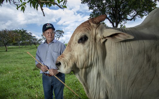 Globo Rural destaca o centenário do boi zebu no Brasil - Revista Globo ...