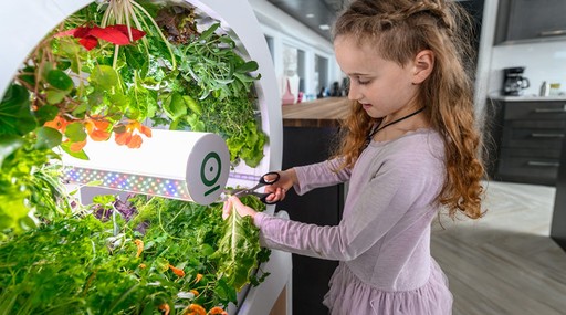 Esta horta circular permite o cultivo de vegetais dentro de casa