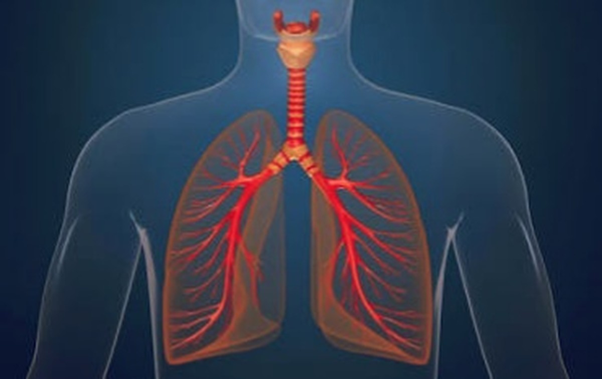 Pesquisador da UFCG desenvolve novo tratamento para doença de traqueia ...