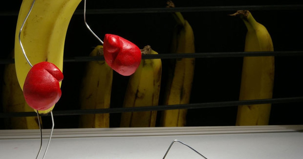 G1 - Objetos inanimados ganham vida em ensaio bem-humorado - notícias ...