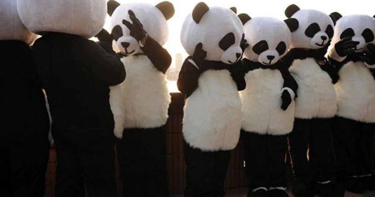 Natureza - Vestidos de panda, chineses participam de campanha em Xangai