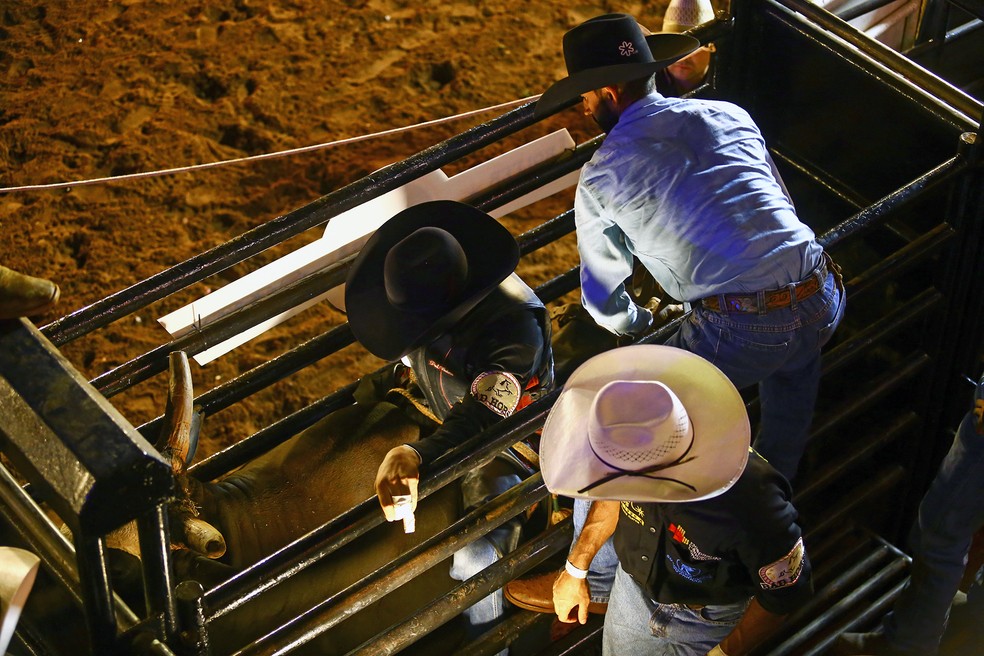 Sempre muito aguardado pelo público, o Rodeio 2020 chega com novidades ...