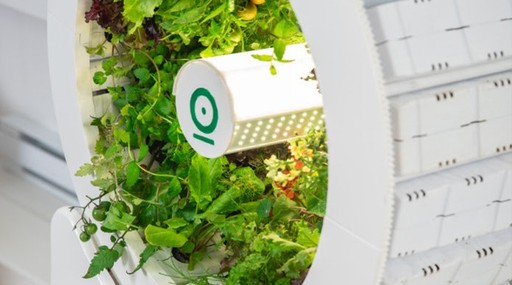 Esta horta circular permite o cultivo de vegetais dentro de casa