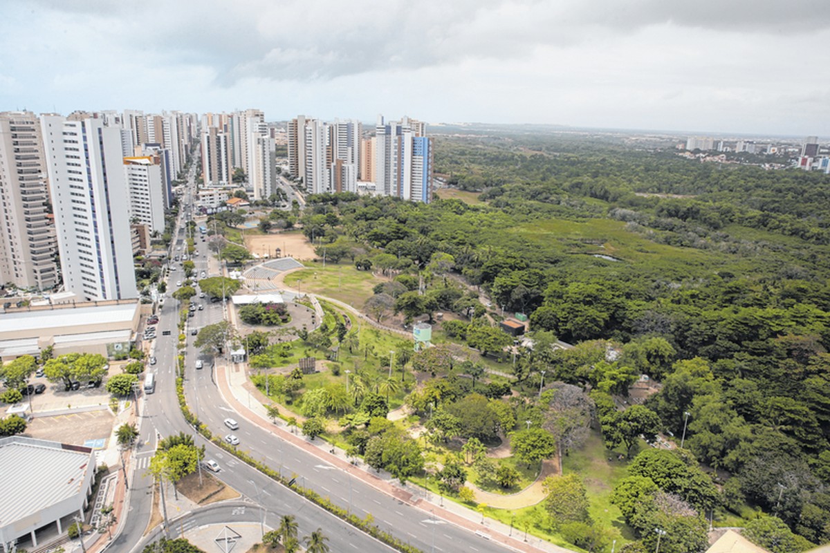 Parque do Cocó volta a funcionar para atividades individuais | Ceará | G1
