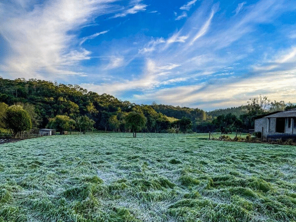 FOTOS: último dia de junho tem frio intenso e temperatura abaixo de 0ºC ...