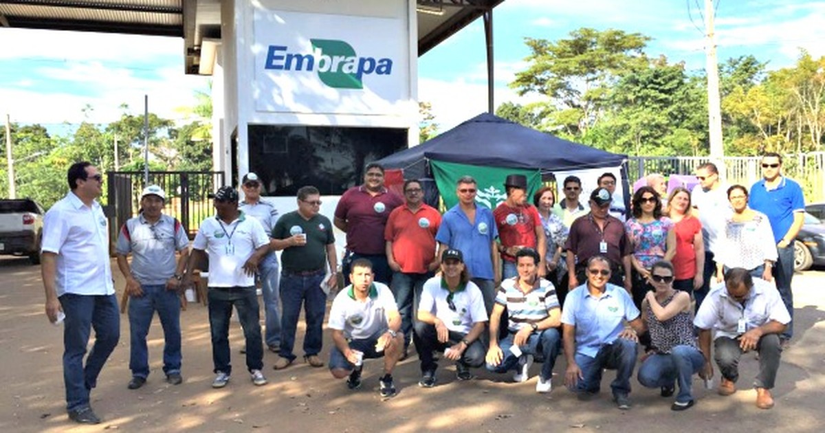 G1 - Funcionários da Embrapa fazem paralisação por reajuste salarial no ...
