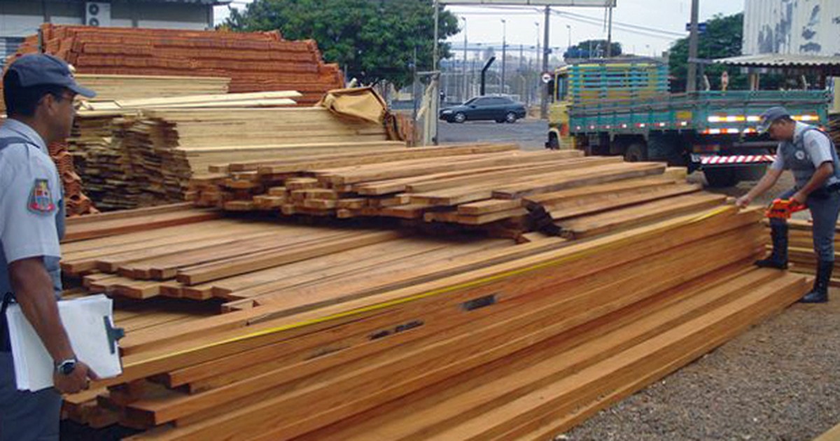 Natureza - Até 60% da madeira tirada da Amazônia é desperdiçada, diz MMA