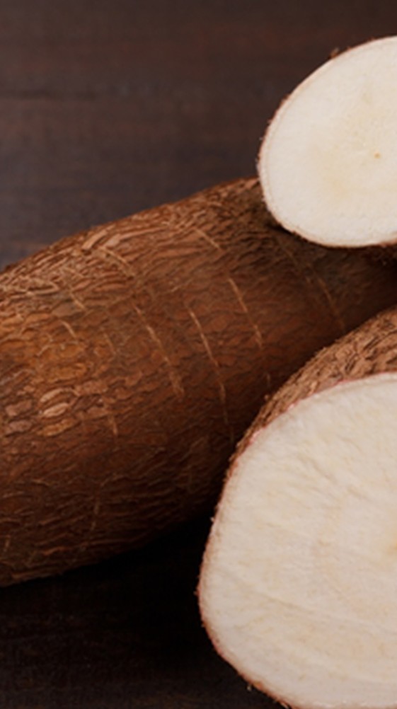 Mandioca: o alimento com vários nomes | Agronegócios | G1