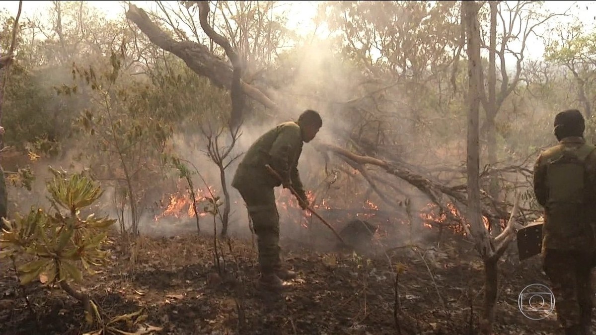 Em setembro, cerrado teve mais focos de queimadas do que Amazônia ...