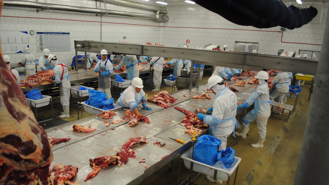 Marfrig | Tudo Sobre | G1