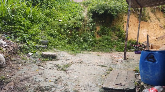 G1 – Amazonas: notícias e vídeos da Rede Amazônica