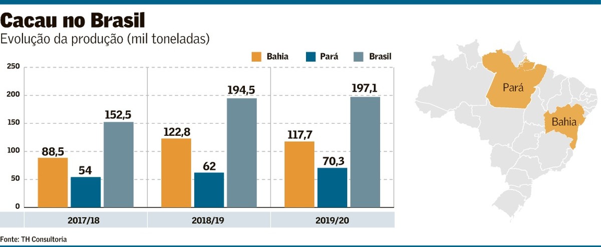 Pará garante leve crescimento da colheita brasileira de cacau ...
