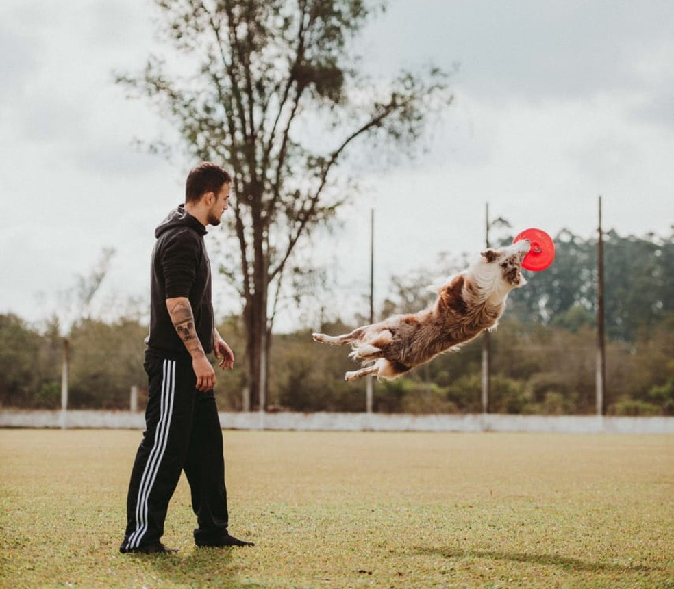 Prática de exercício físico ajuda pets e donos a ter uma vida saudável ...