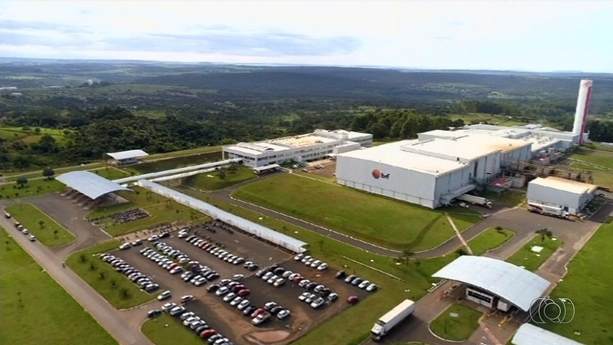 BRF dá férias coletivas para mais de 1 mil funcionários em Mineiros ...