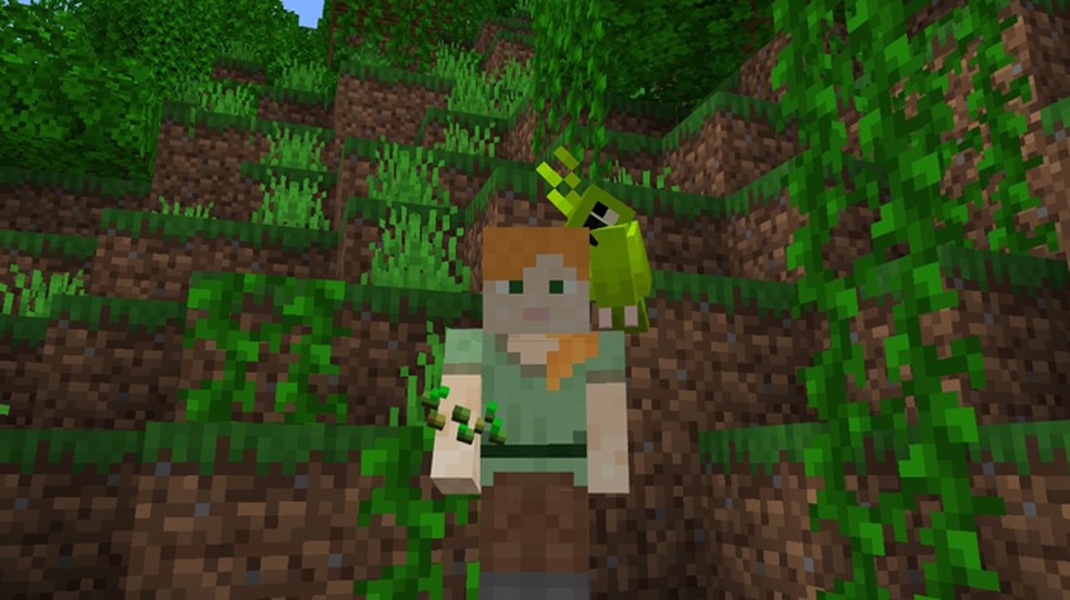 Como domesticar papagaio em Minecraft | Jogos casuais | TechTudo