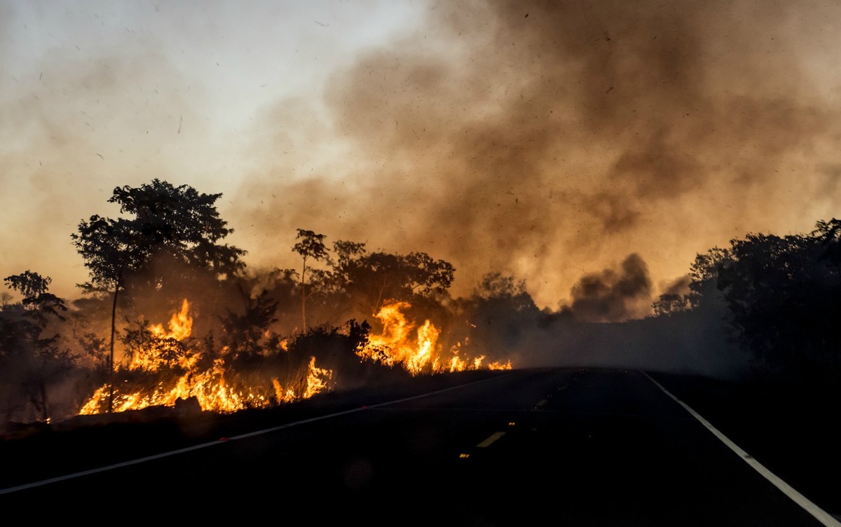MT é o estado com maior número de focos de incêndio em 2017, diz Inpe ...