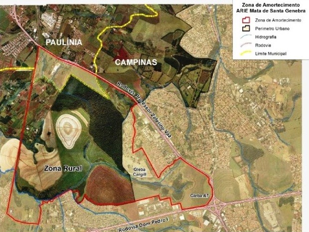 G1 - Juiz define regulamentação ambiental para área da Mata de Santa ...