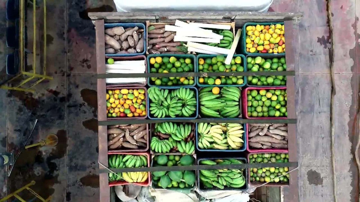 Veja os destaques do Globo Rural deste domingo (14/11/2021) | Globo ...