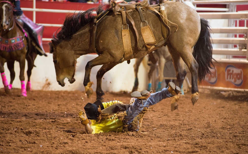 Barretos 2017: rodeio internacional - primeira noite; FOTOS | Festa do ...