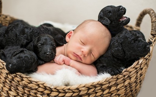 Ensaio fotográfico mostra bebê e nove cachorrinhos nascidos no mesmo ...