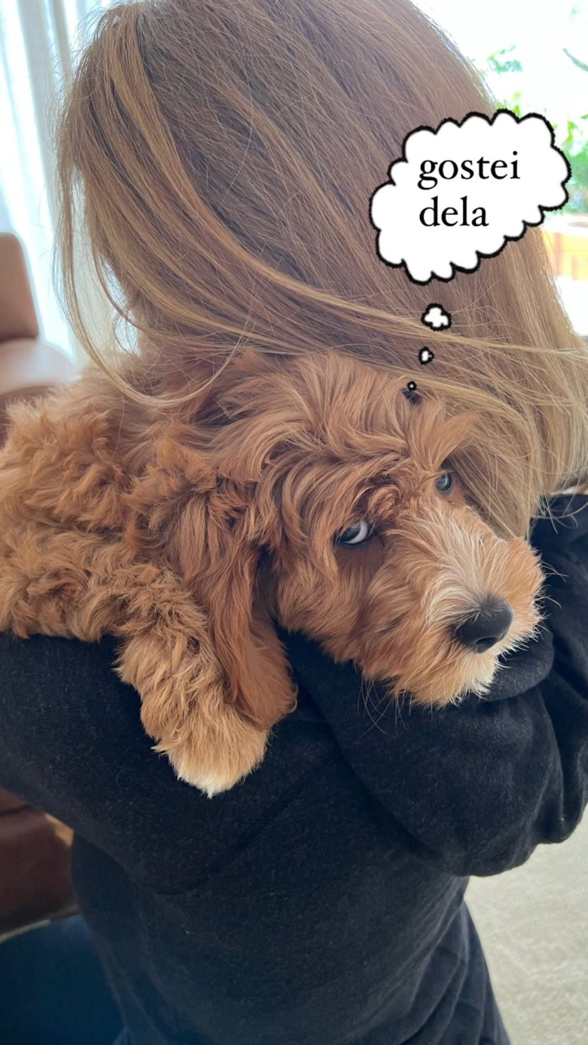 Luciano Huck leva cachorro de surpresa para casa | Celebridades | Vogue