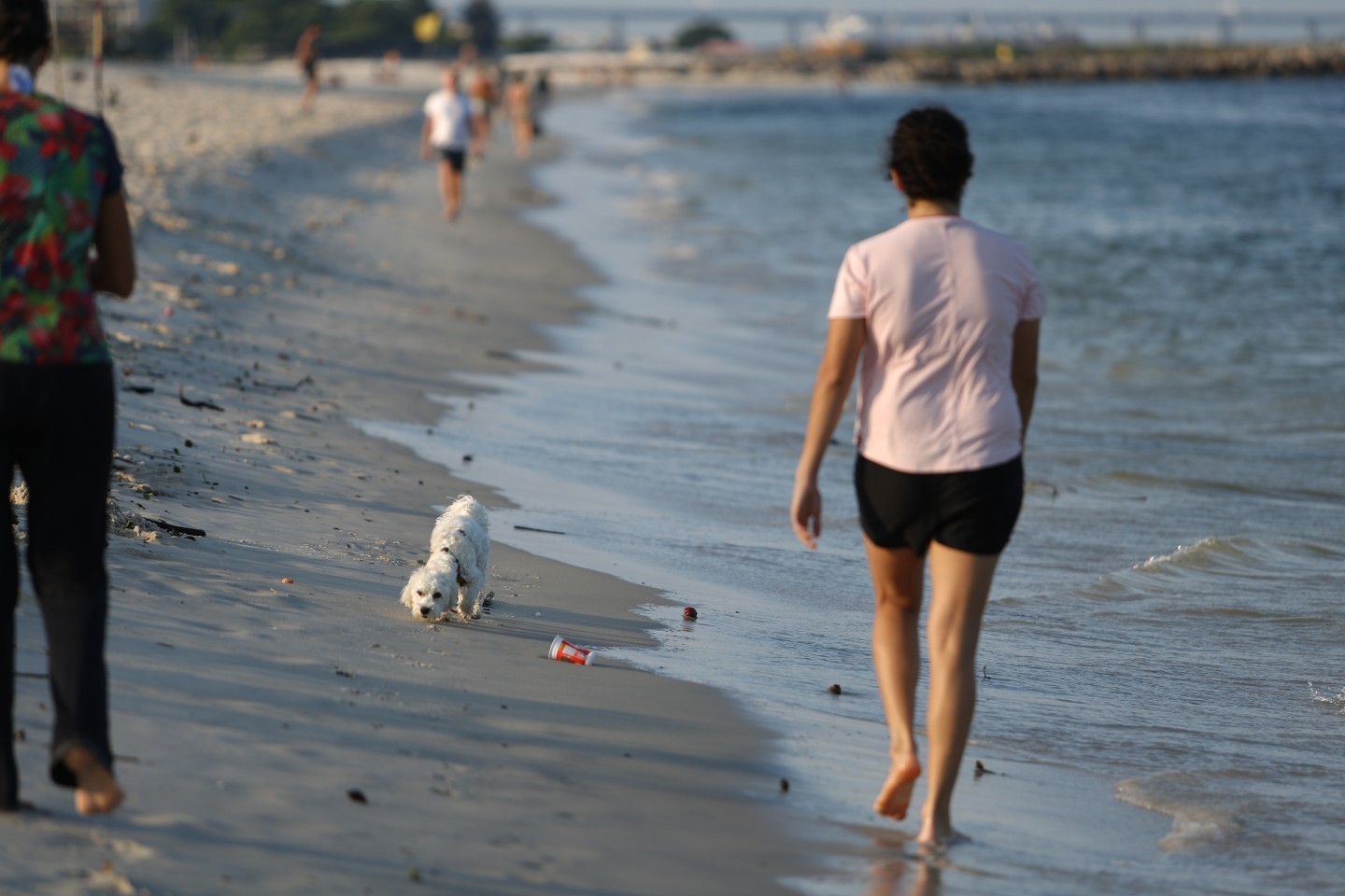 Enquanto praias da Bica e do Flamengo têm águas limpas, Leblon está impróprio para banho