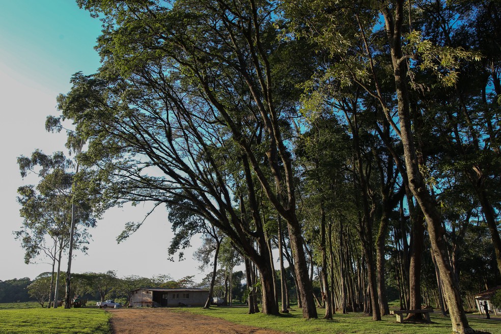 A importância do perdão | Especial Publicitário - Parque Memorial Japi | G1