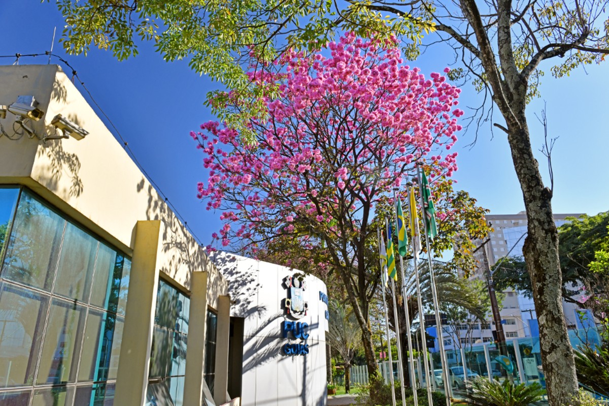 PUC Goiás garante ensino de excelência e diploma de renome ...
