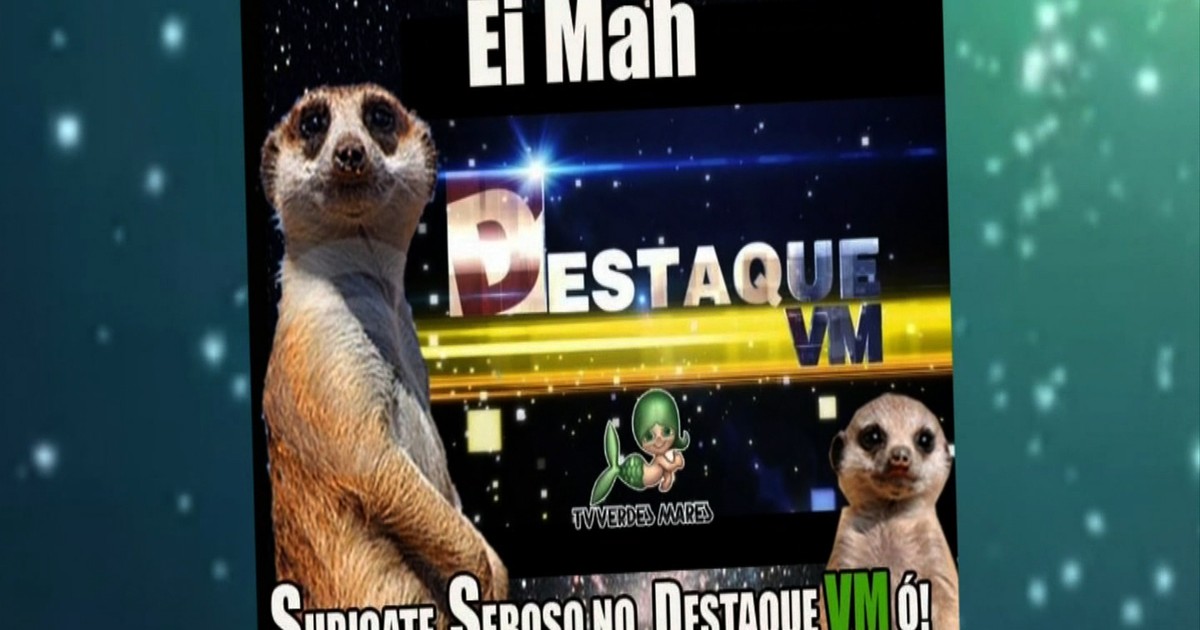 G1 - 'Suricate Seboso' faz sucesso com expressões cearenses e vira ...