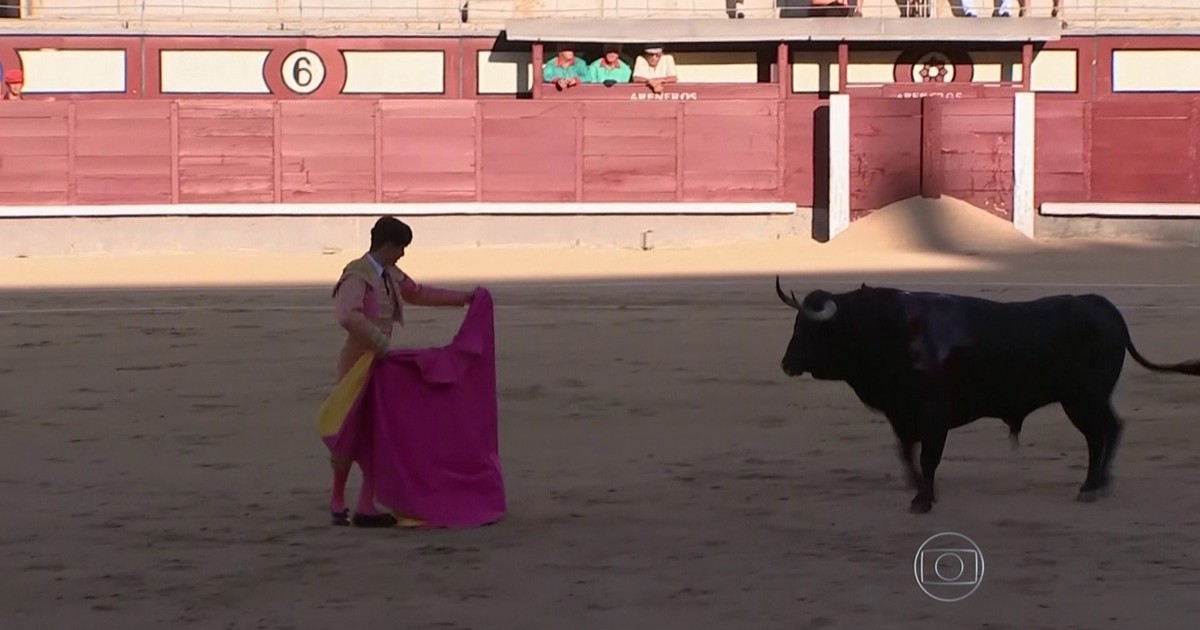 Bom Dia Brasil - Tourada é liberada em cidade no norte da Espanha