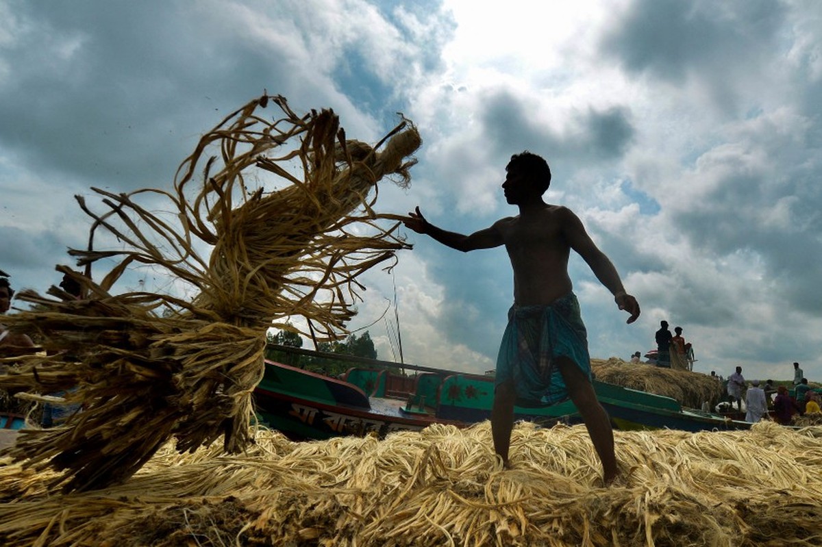 O que a maior ONG do mundo nos ensina