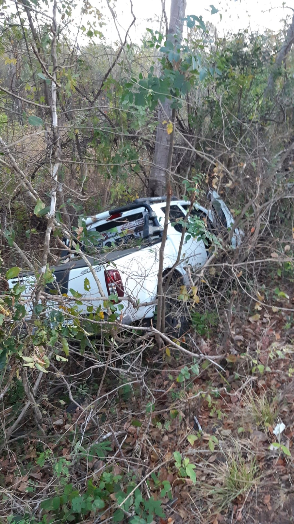 Homem fica gravemente ferido após dormir ao volante e carro cair em ...