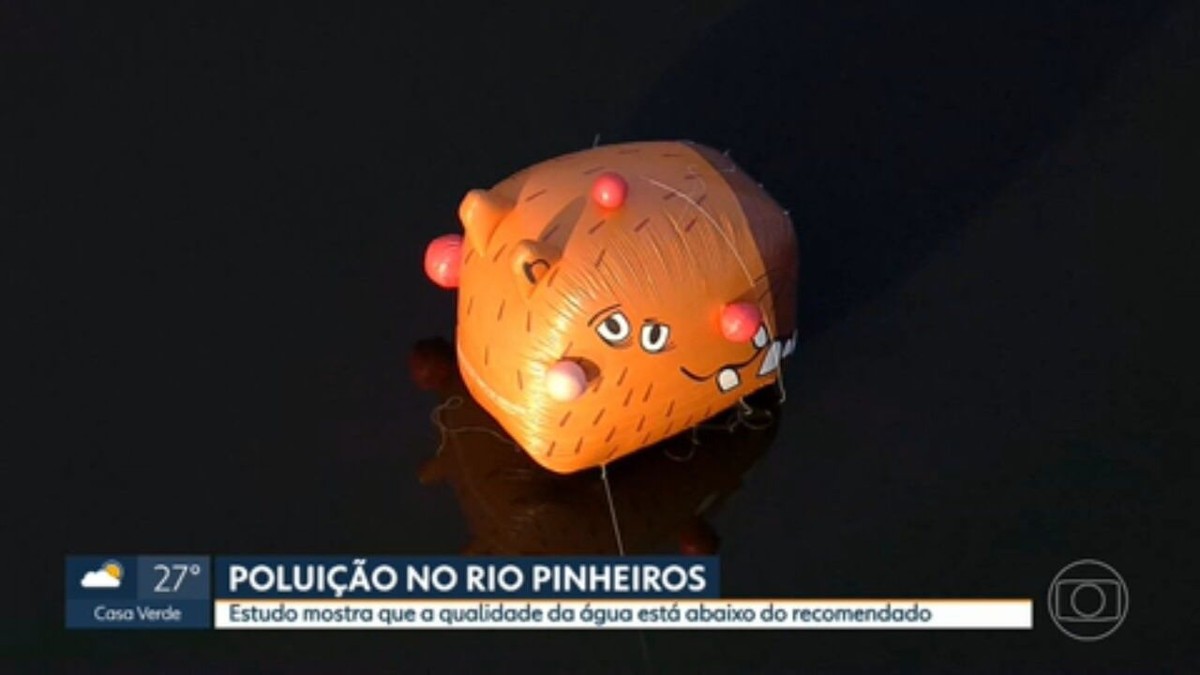 Artistas instalam capivara inflável gigante no Rio Pinheiros para ...